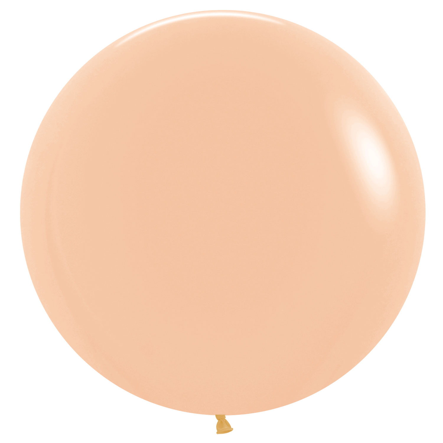 Sempertex 24″ Fashion Peach Blush | MGC Wholesale